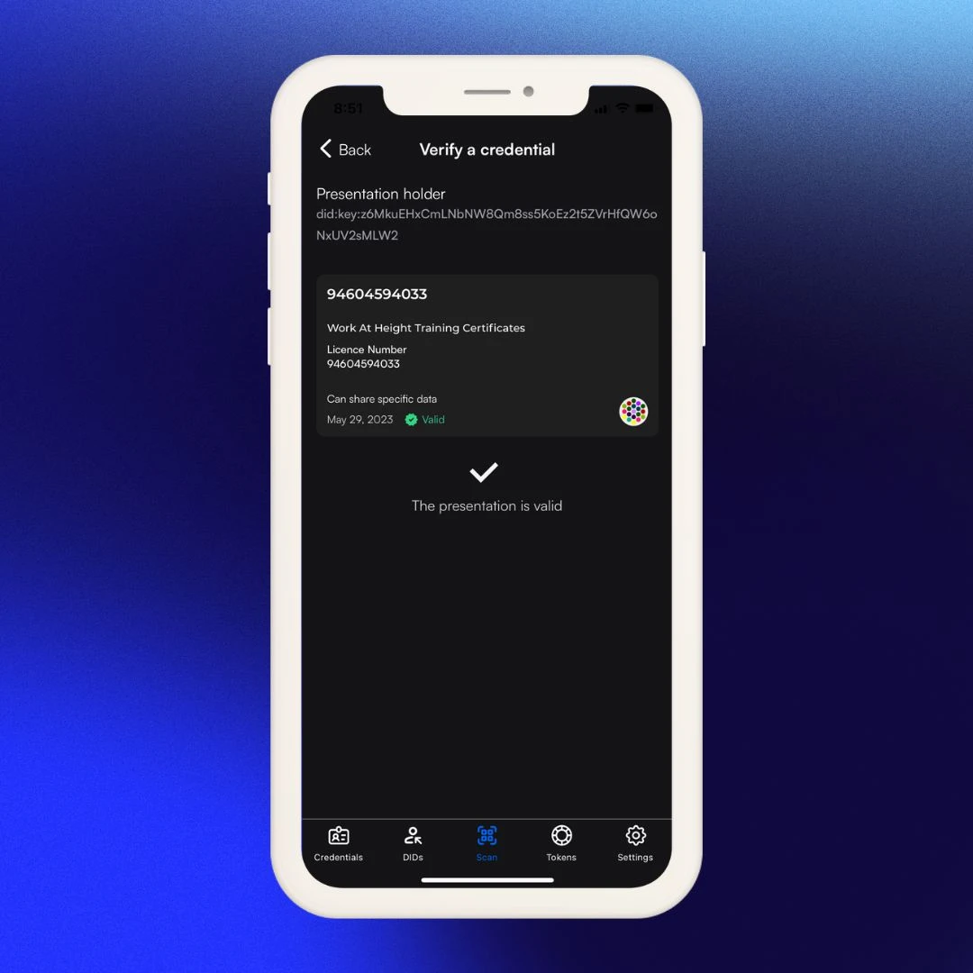Blockchain Verification: Instant, Secure, and Efficient